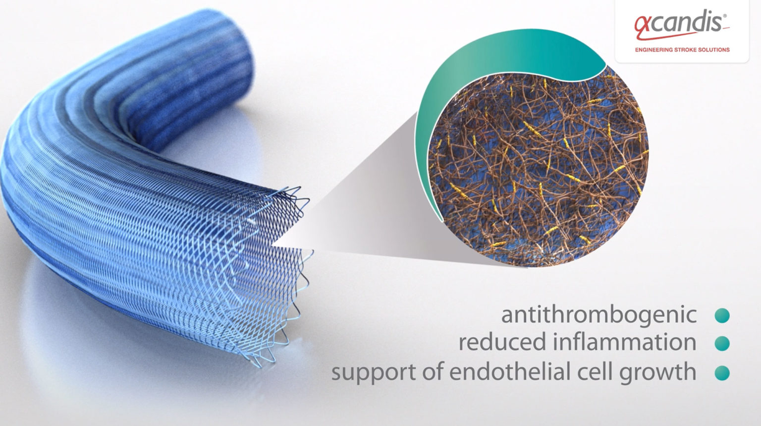 HEAL Technology - Acandis