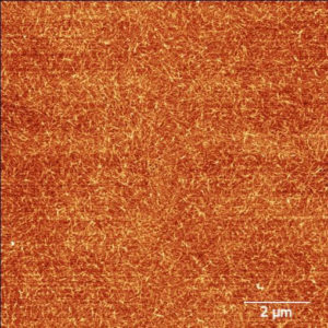 HEAL Technology - Acandis