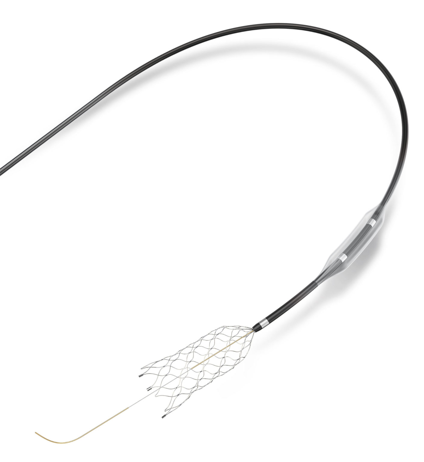 CREDO® Stent - acandis